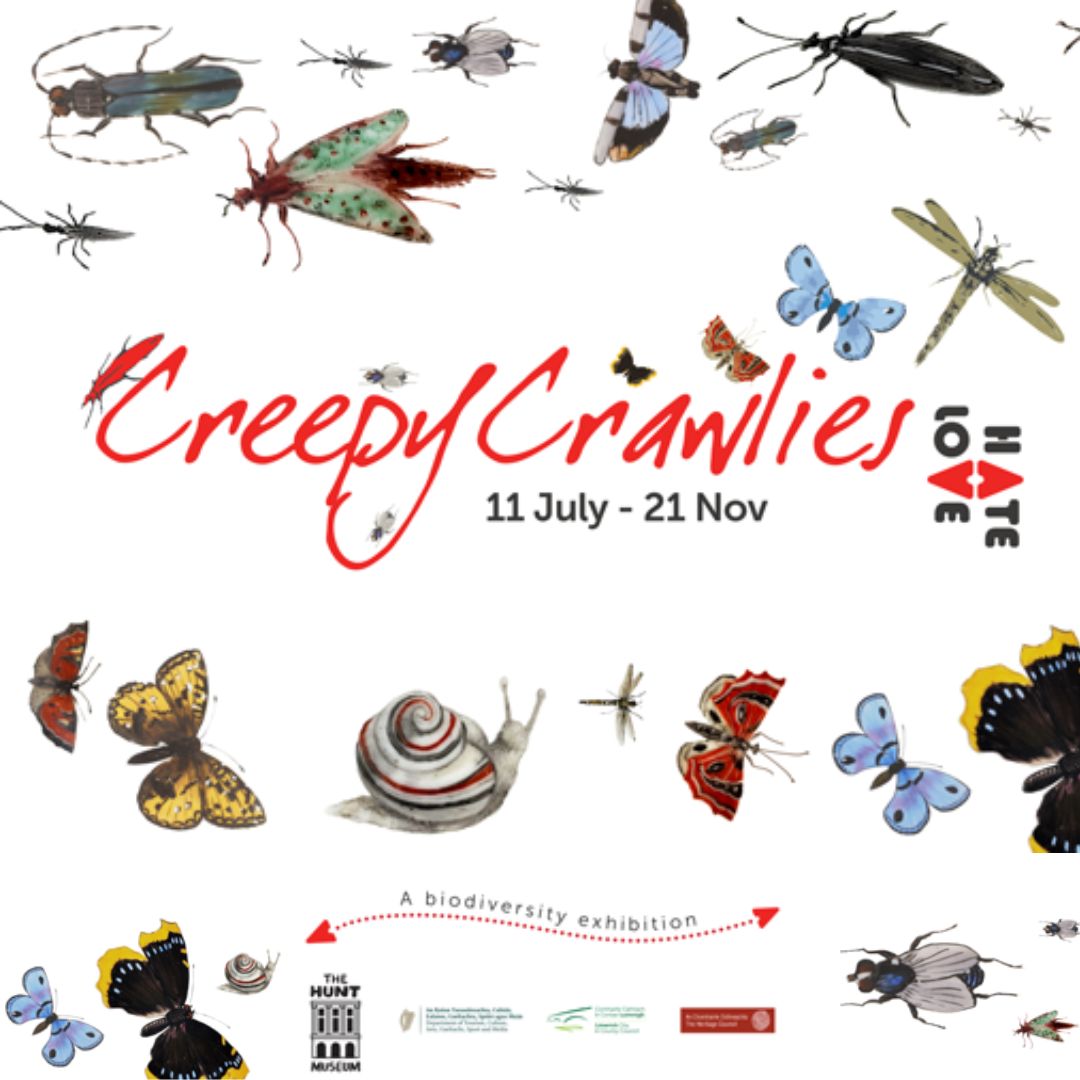 Creepy Crawlies: Love/Hate Merchandise – The Hunt Museum